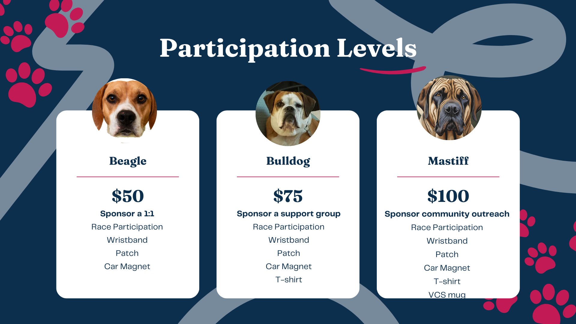 Zero kilometer race – Veterinary Chaplaincy services